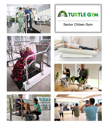 TURTLE GYM Senior Fitness Comprehensive Solution | Taiwantrade.com