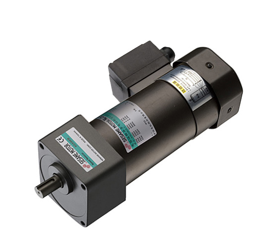 60W AC Geared Brake Motor, Std. GN Gearhead, Terminal Box Type ...