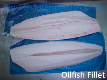 Frozen Oil Fish Fillet | Taiwantrade.com