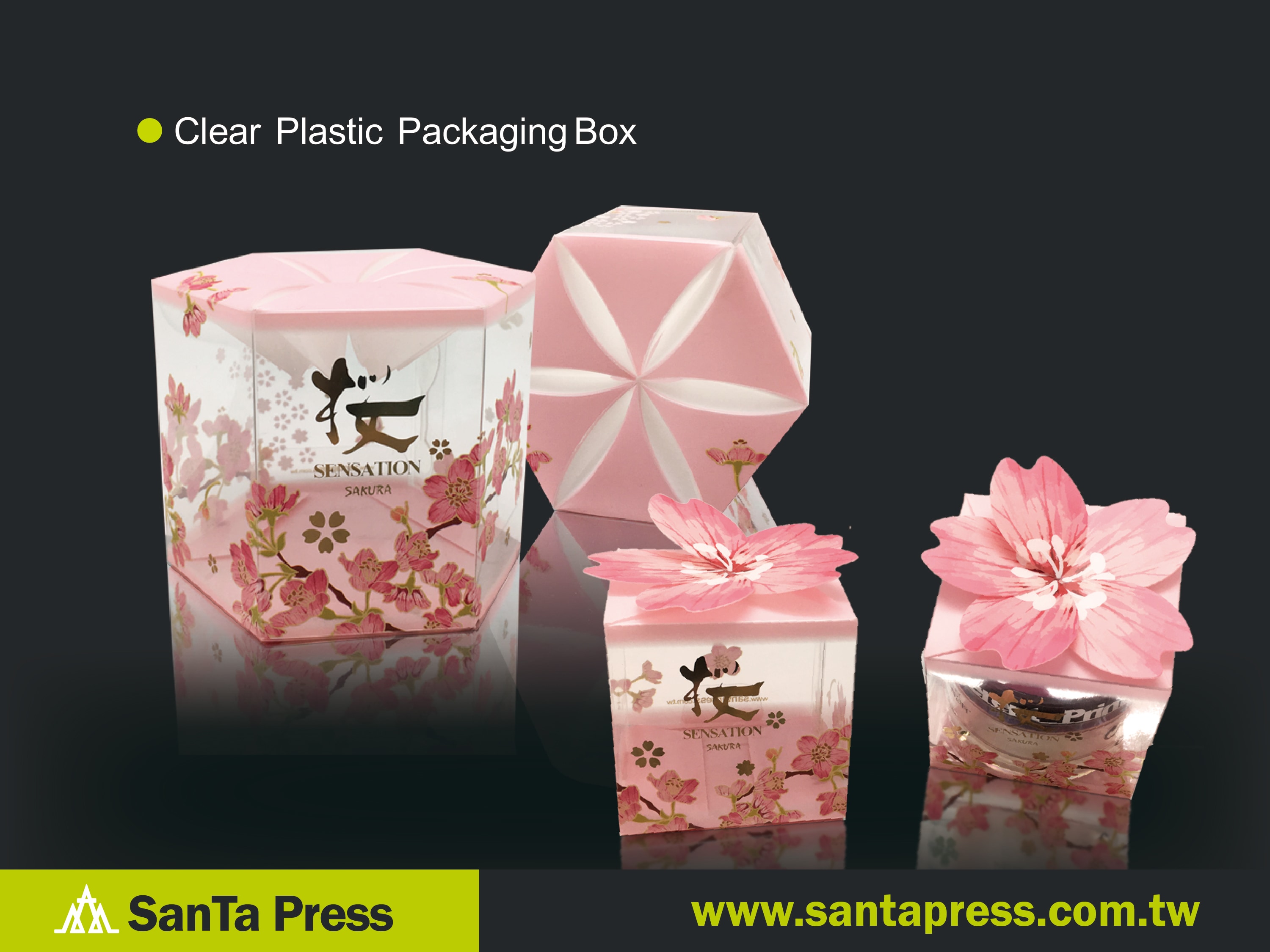 Clear Plastic Box Made from PET | Taiwantrade.com