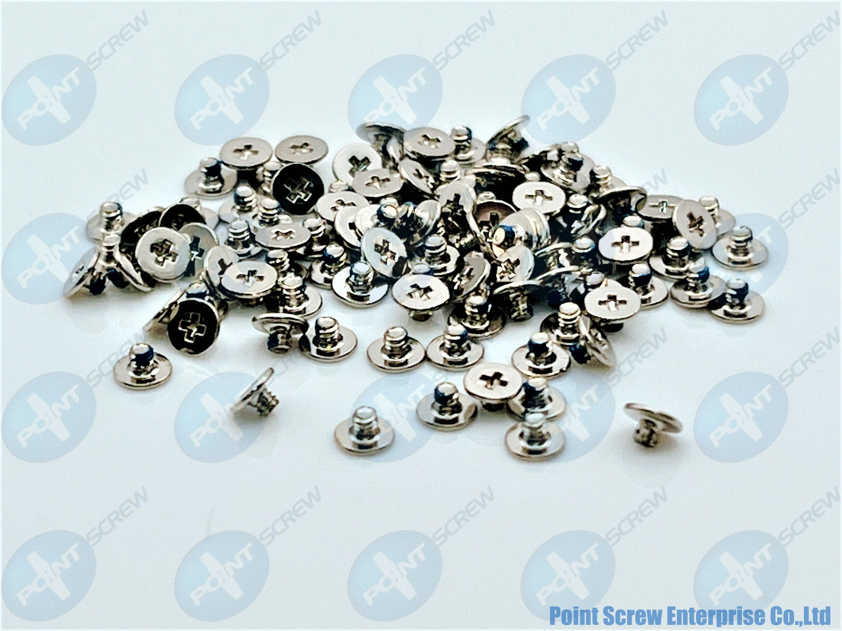 Pancake Head Micro Screw With Nylok | Taiwantrade