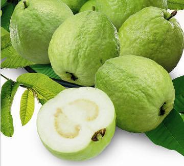 Taiwan guava | Taiwantrade.com