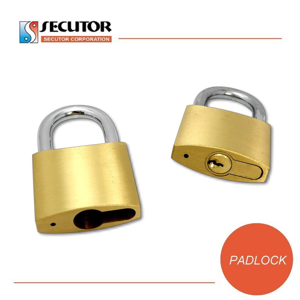 Double Locking Brass Cylinder Padlock with Removable Core | Taiwantrade