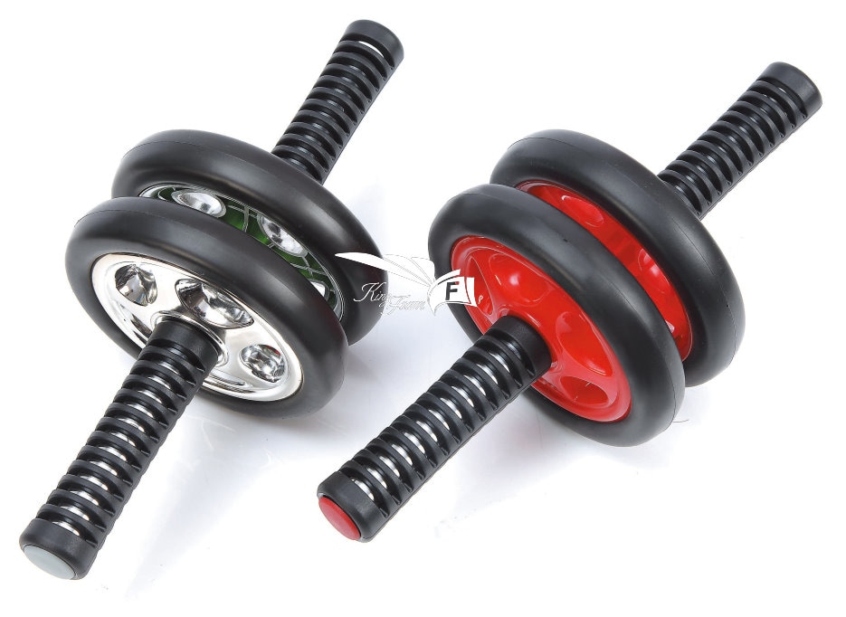 Exercise Wheel | Taiwantrade