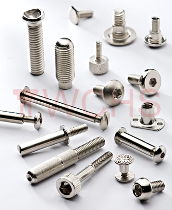 Specialized (Customized) Screw | Taiwantrade