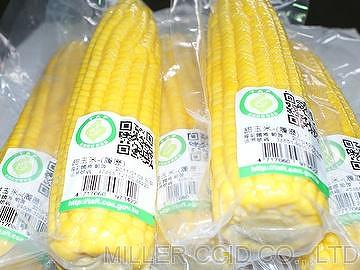 Ready to Eat Vacuum Packed Sweet Corn | MILLER CCID CO., LTD.