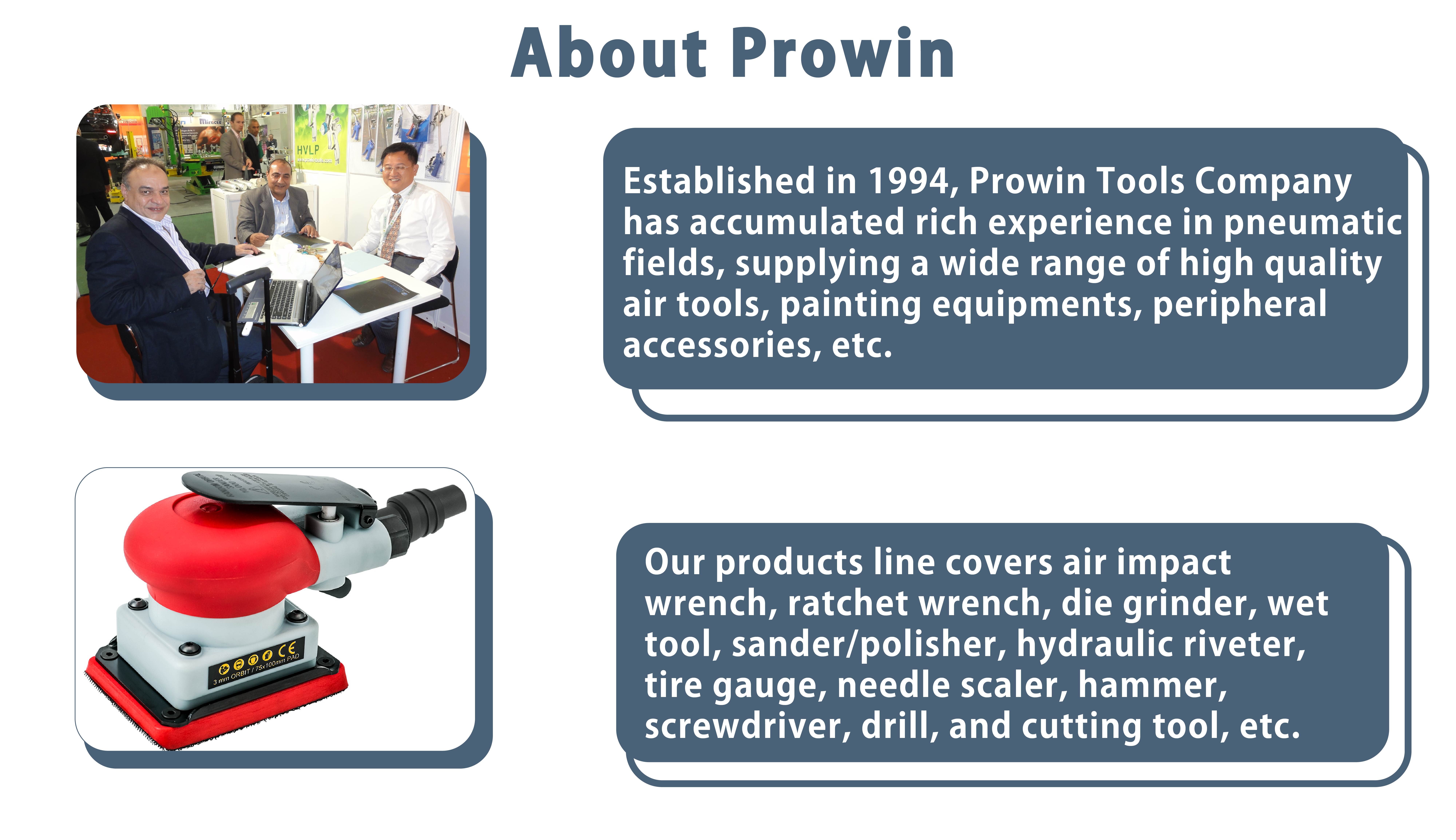 Pneumatic Air Belt Grinder Machine 20mm with Belts | PROWIN TOOLS COMPANY