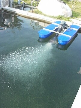 Surface jet aerator for Aquaculture | Taiwantrade