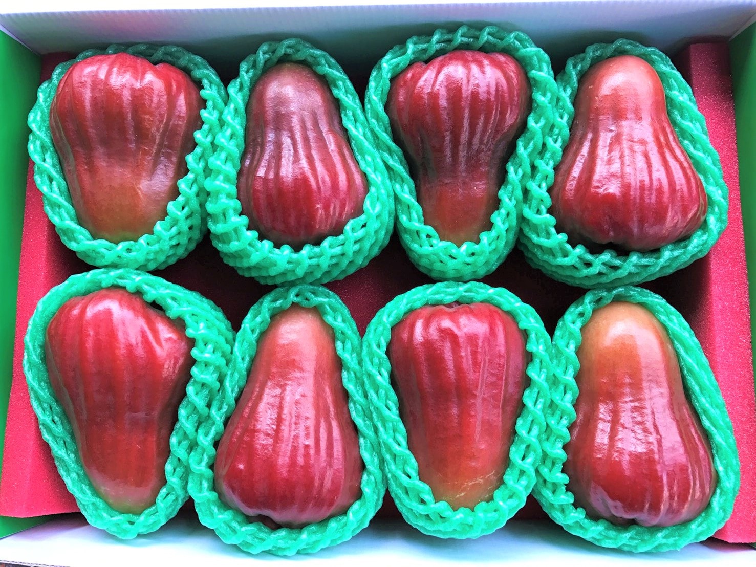 Wax Apple, Rose Apple, Bell Fruit (Big Size) | Taiwantrade