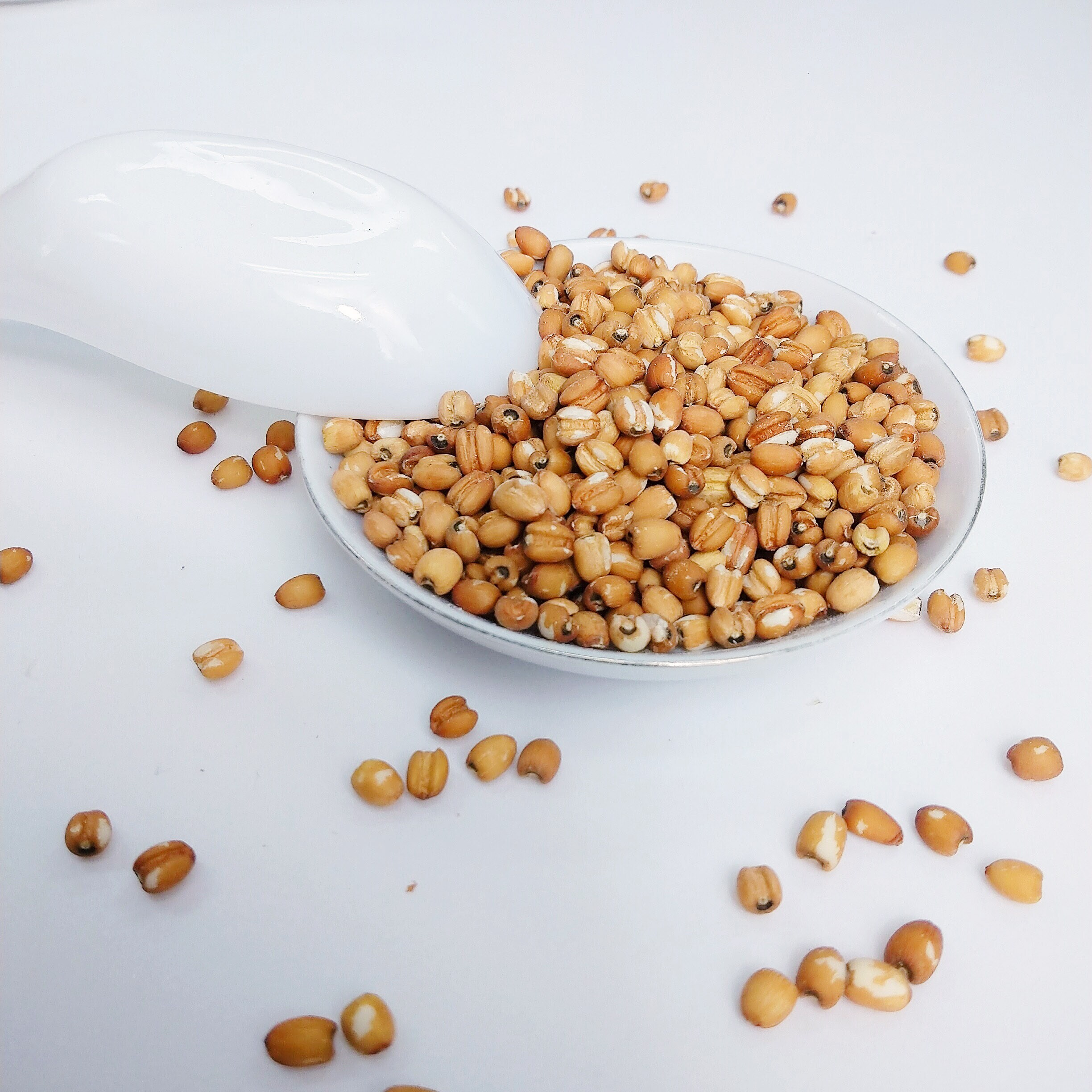 Taiwan Adlay Whole Grain New Product | Taiwantrade.com