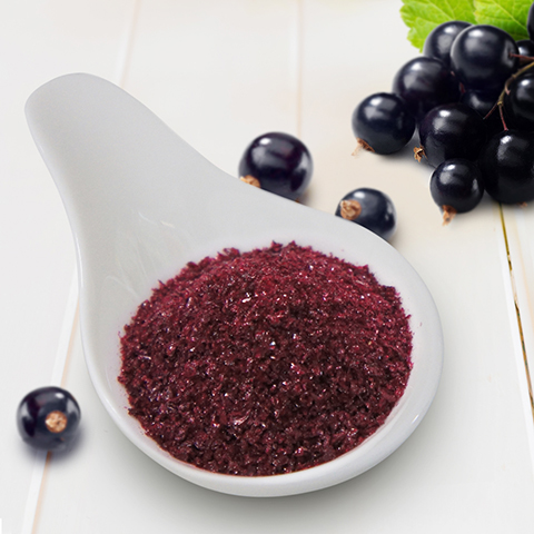 SOD-Like Black Currant Fermented Powder | Taiwantrade.com