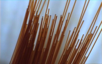 Polyimide Tubing | Taiwantrade