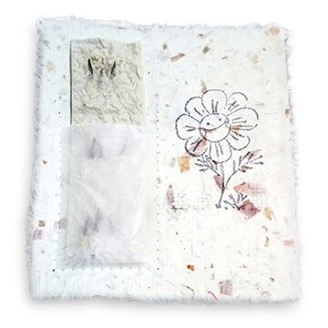 Seed Paper | Taiwantrade