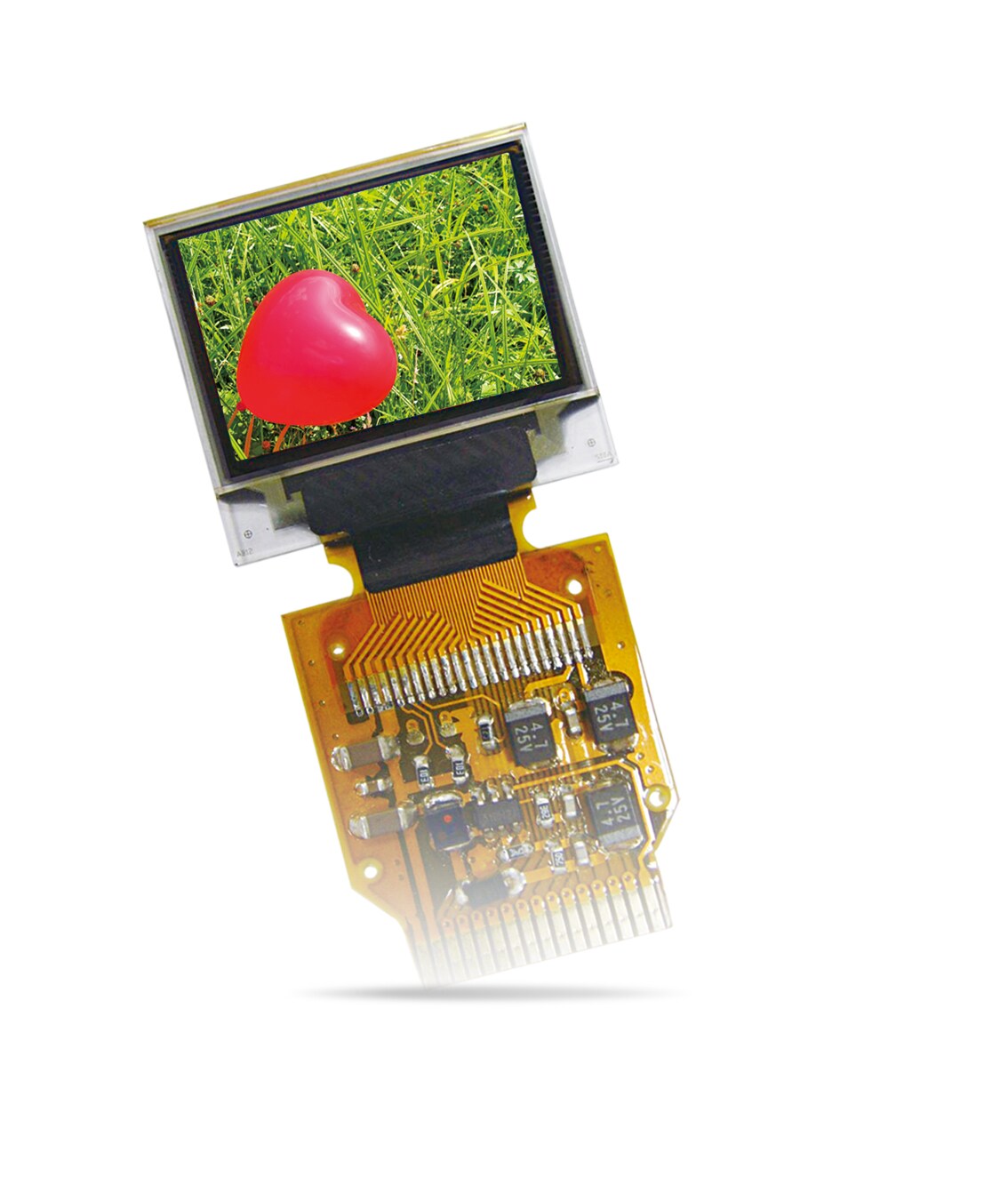 0.95 inch OLED Color Display Module-Sample | Taiwantrade