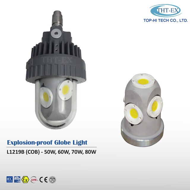 Explosion Proof Globe Light (Protection Guard and Reflector are ...