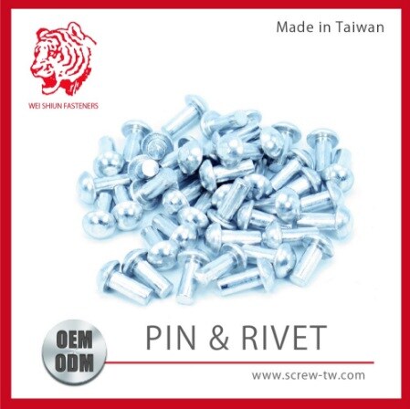 Taiwan Factory SUS 304 316 Stainless Steel Solid Rivet | Taiwantrade