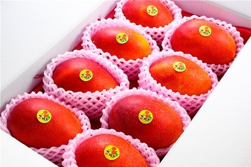 Taiwan Mango | Taiwantrade