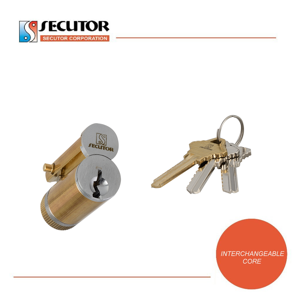 Schlage LFIC Large Format Interchangeable Core Cylinder