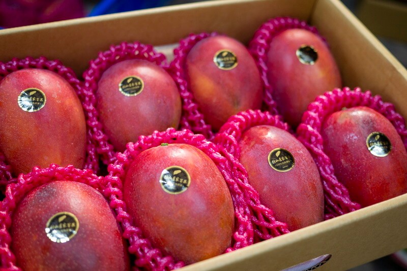 Irwin Mango (Apple Mango) | Taiwantrade