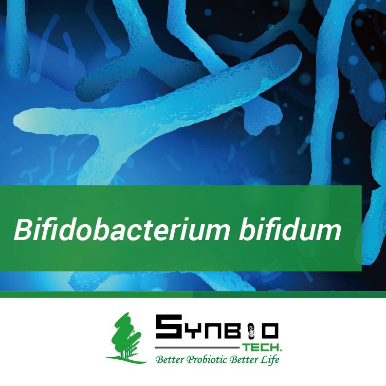 Bifidobacterium bifidum , Probiotics Solution for Your Healthcare ...