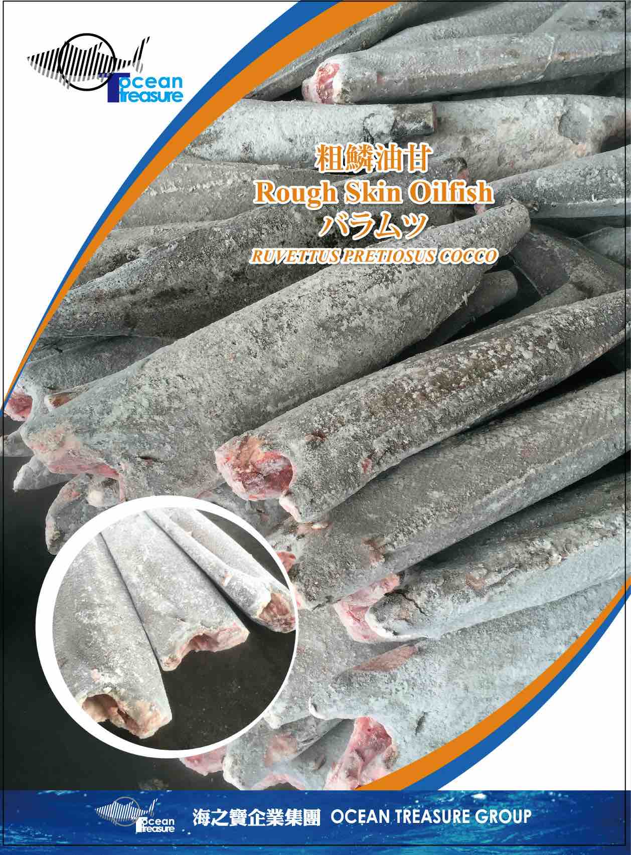 The Frozen Rough Skin Oilfish | Taiwantrade