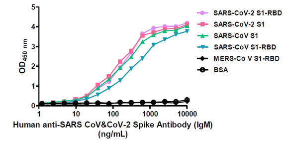 Human anti-SARS-CoV & CoV-2 Spike Antibody (IgM), clone CR3022 ...
