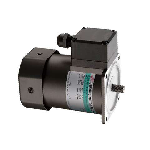 60W (1/12 HP) Reversible Motor & Gear Motor, Terminal Box Type ...