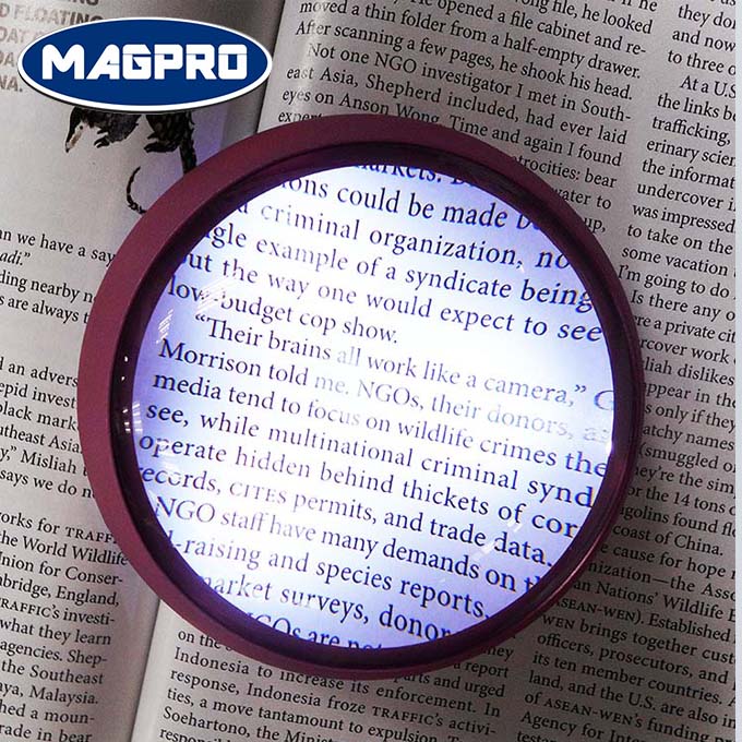 Plastic Base Dome Magnifier LED Lighted Dome Magnifier 5x Magnifying ...