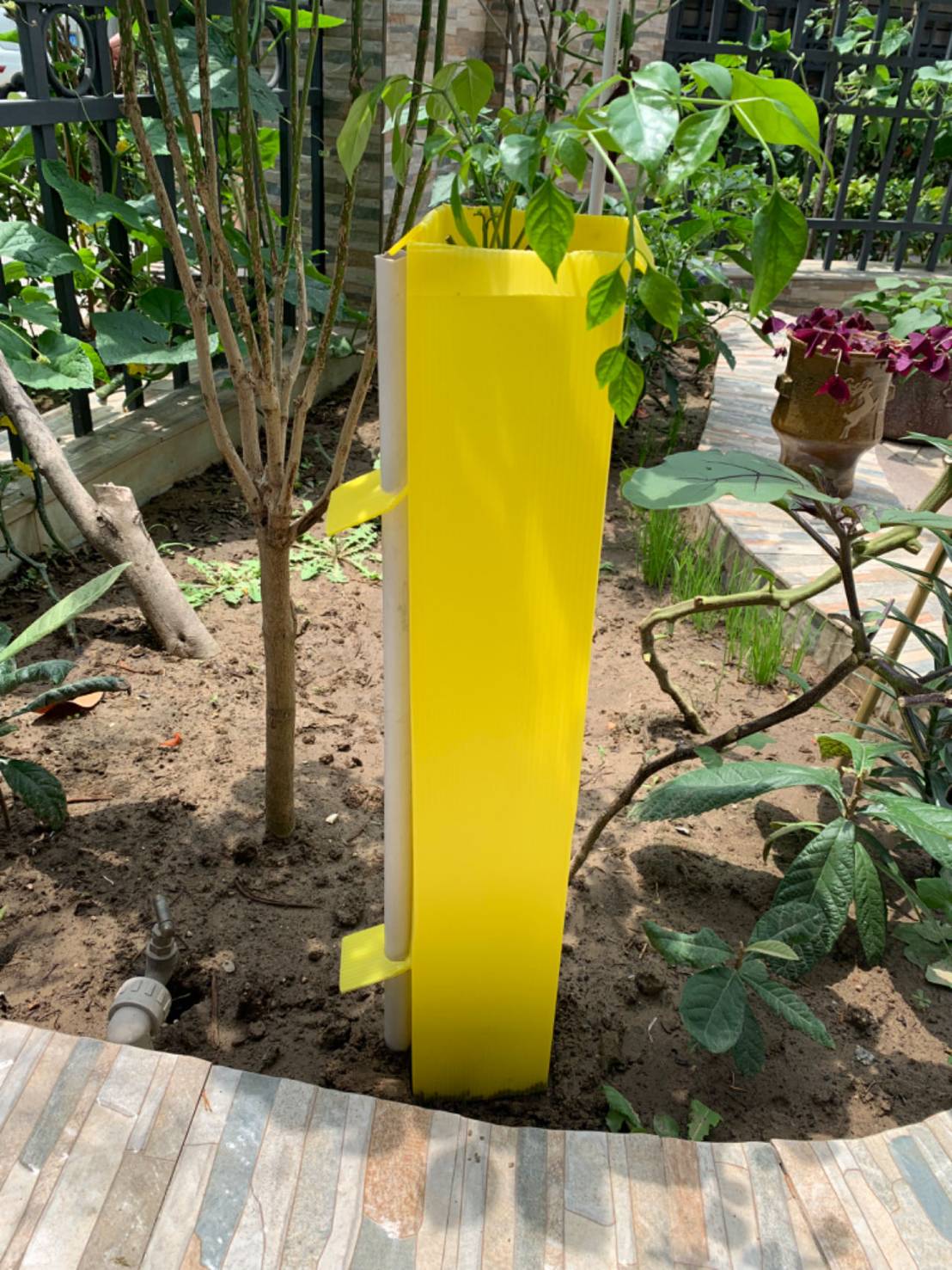 [Tree Guard (Shelter) B ] Provides sufficient light, prevent the damage ...