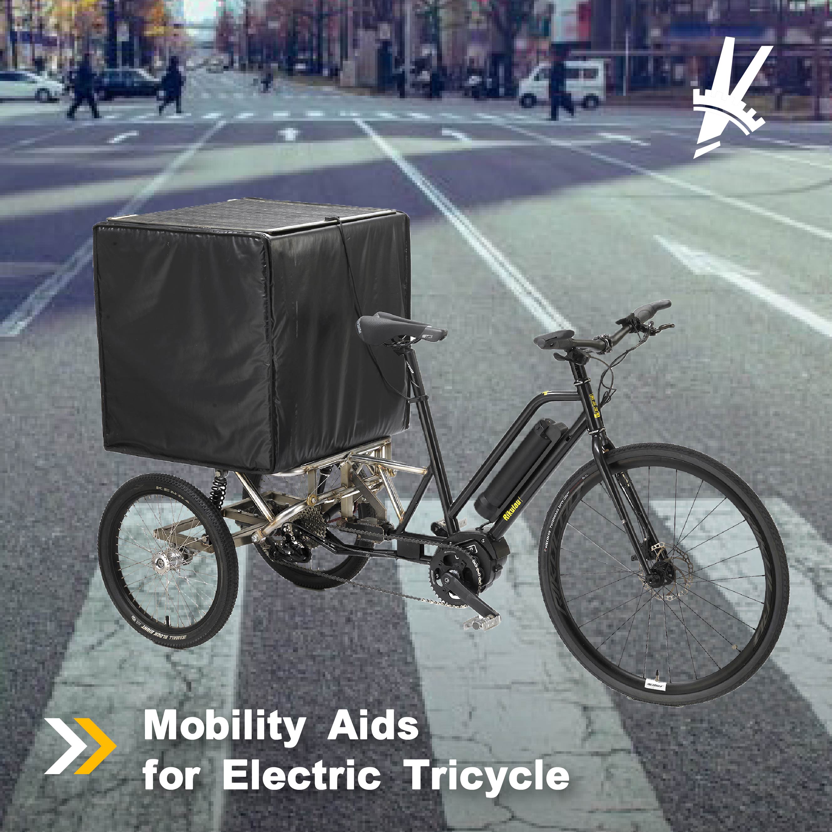 Power-assisted Tilt Bicycle, 3 Wheels Mobility Aids for Electric Bike ...