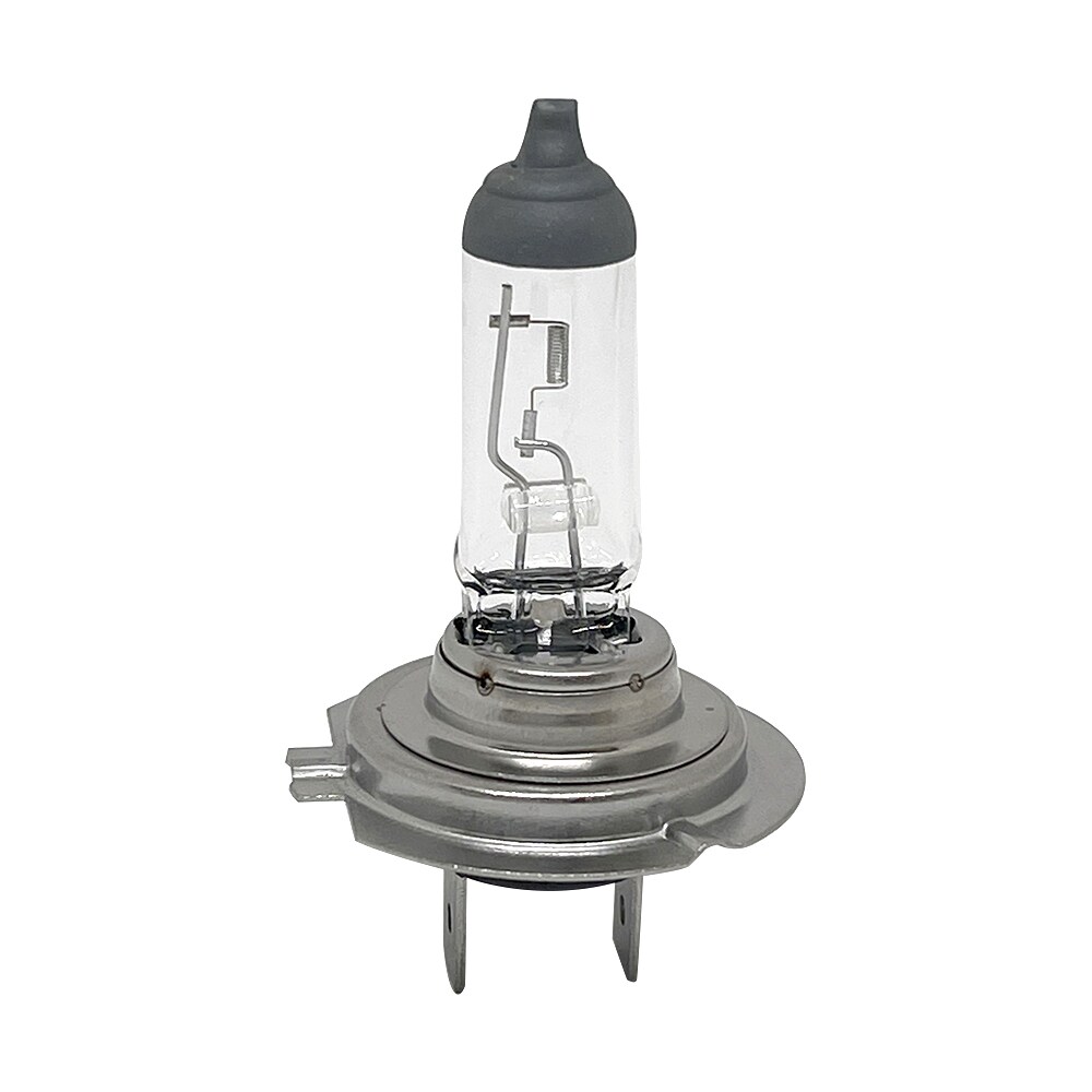 Xtec Pro H7 24V 70W Halogen Bulb MotoSTAR series | Taiwantrade