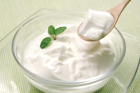 Cheese Flavor, Cream Cheese Powder for Baking & Drinks | Taiwantrade