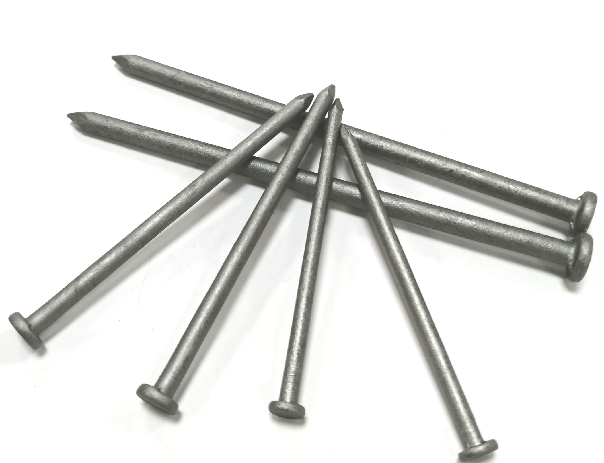 Common nail hot galvanized common nails | Taiwantrade
