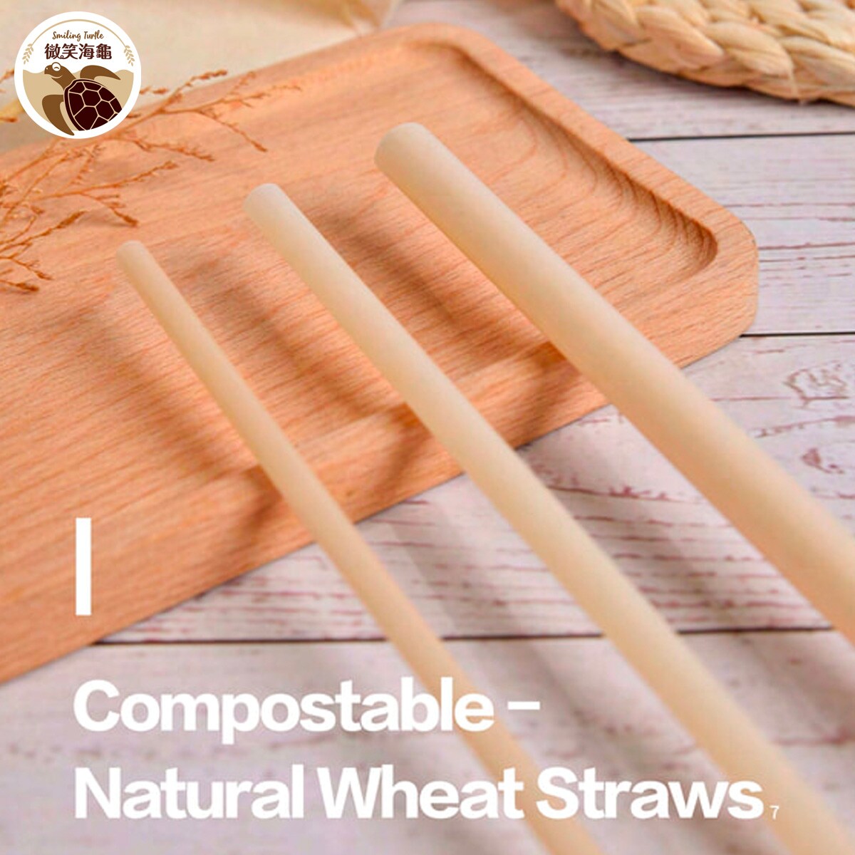 Supplier of Wheat Fiber Compostable and Biodegradable Straw | Taiwantrade