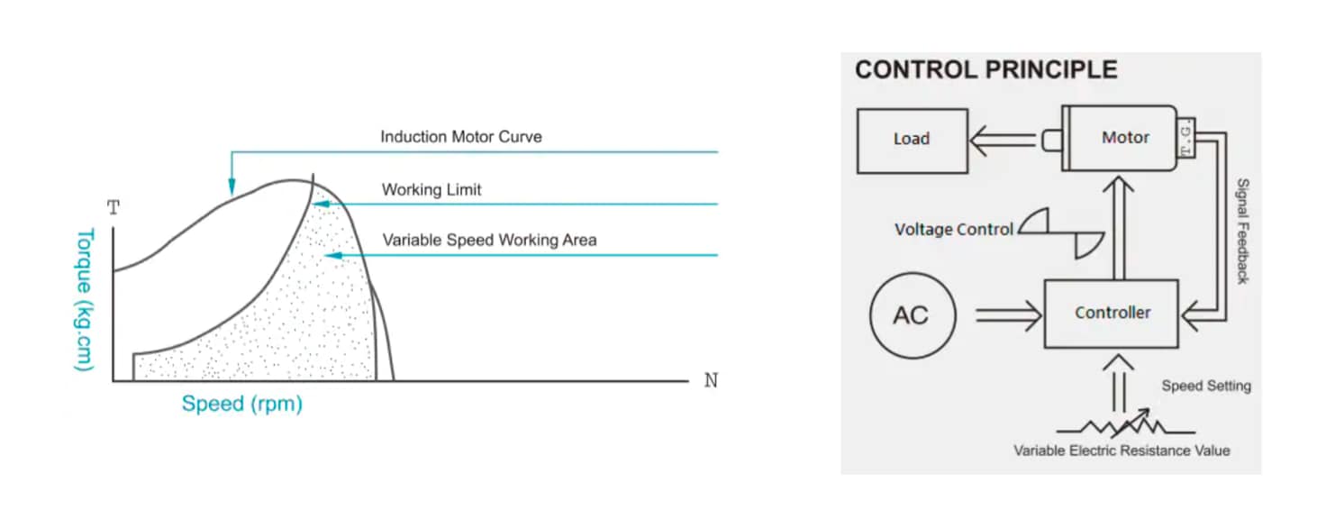 60W Variable Speed Control Gear Motors | Sesame Motor Corp