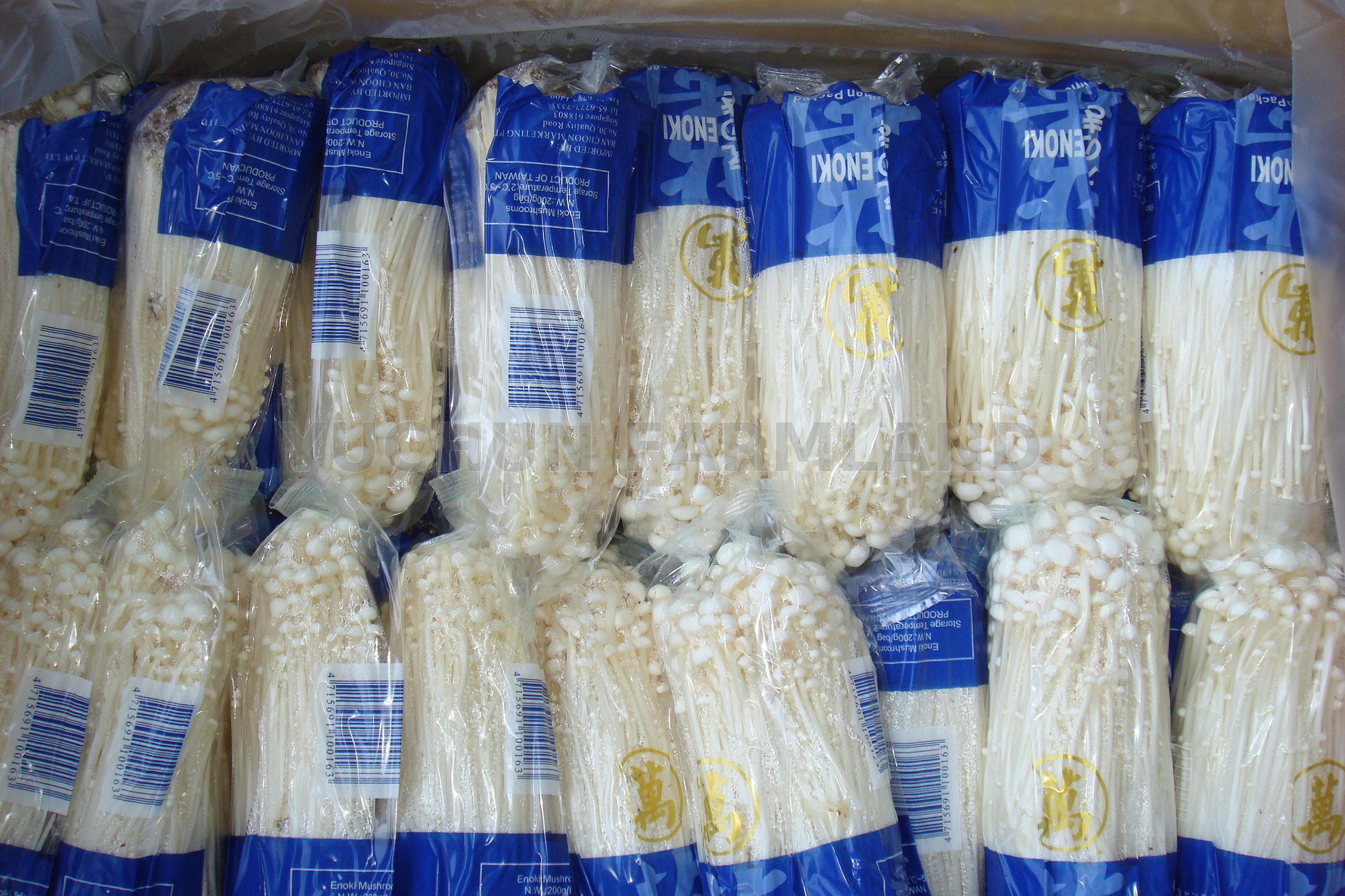 Enoki Mushroom | Taiwantrade