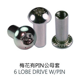 6 Lobe Drive W/Pin | Taiwantrade