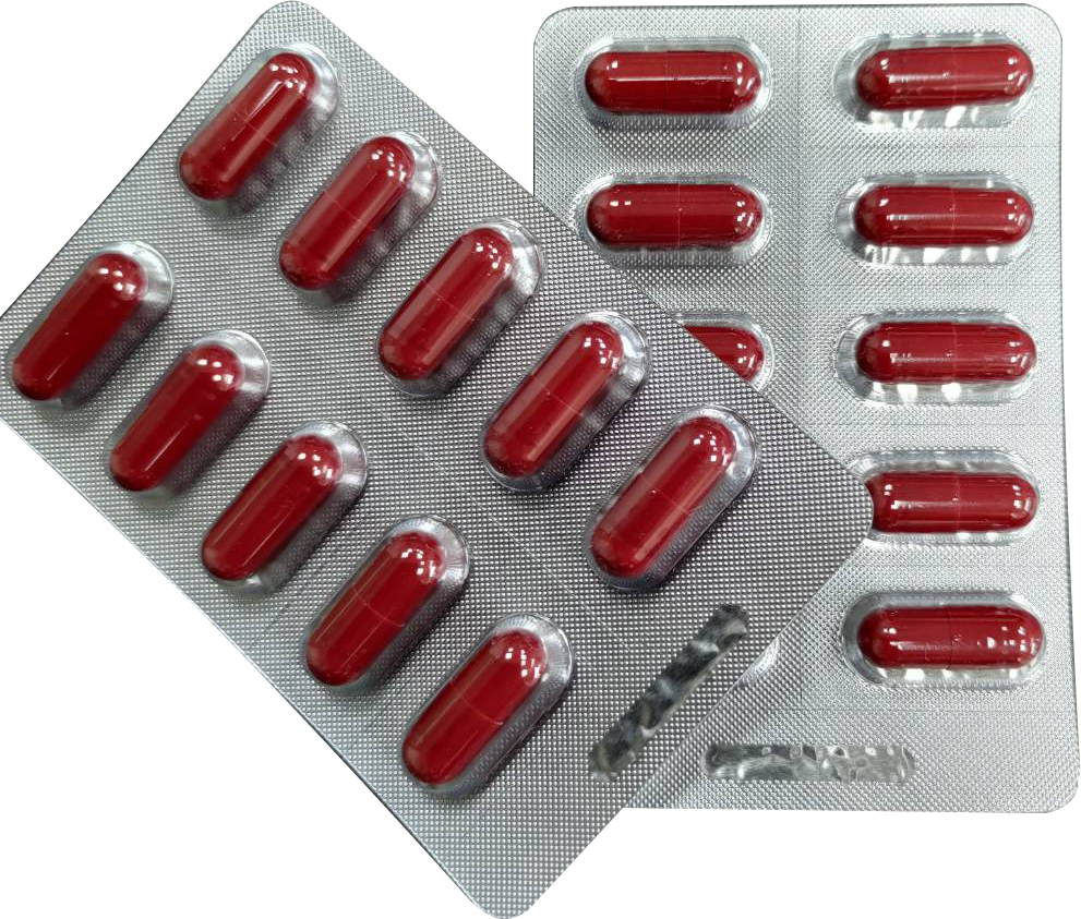 JAPAN EARTHWORM ENZYMES CAPSULE | Taiwantrade.com