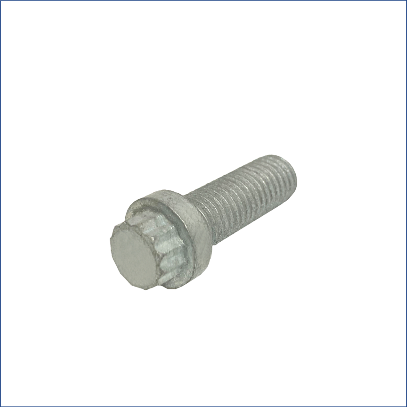 12 Point Cap Screw, Customization | Taiwantrade