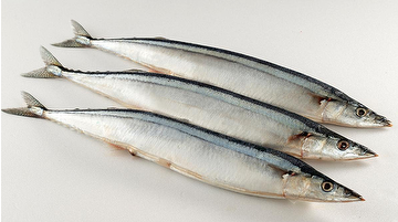 Frozen Pacific Saury | YEN & BROTHERS ENTERPRISE CO., LTD.