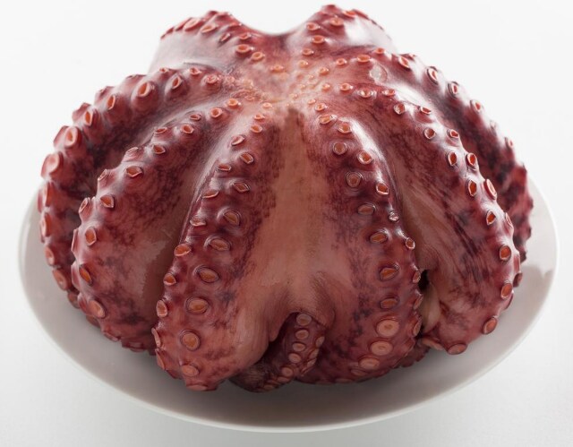 Cooked Octopus | Taiwantrade
