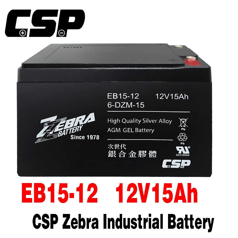 CSP Zebra EB15-12 Electric Bike Battery | Taiwantrade