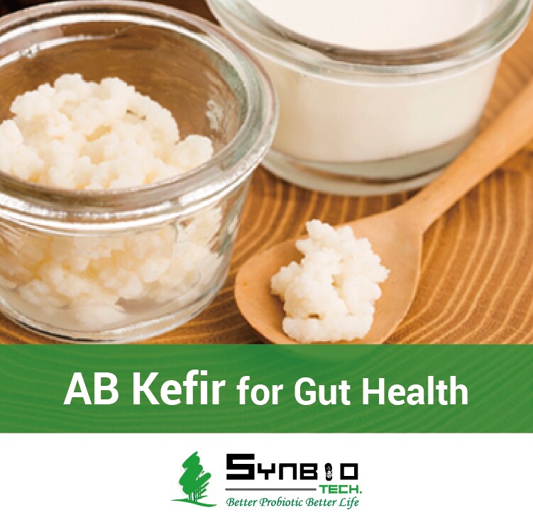 AB-Kefir Probiotics Powder | Taiwantrade.com