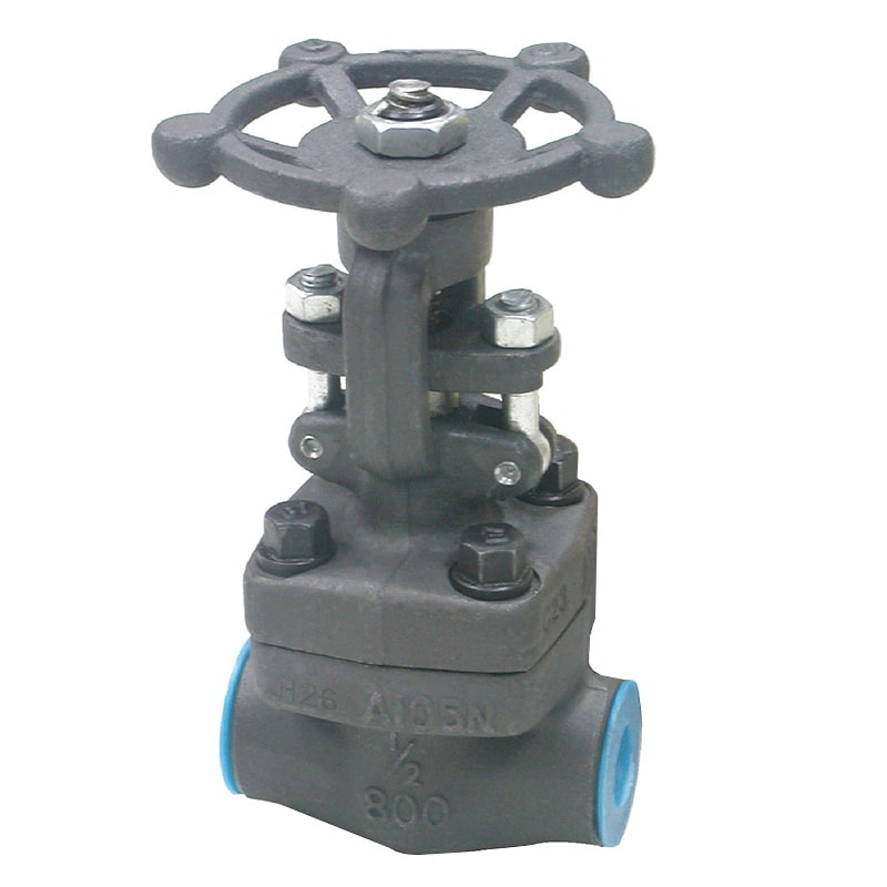 Threaded & Socket-Welding End Gate Valve | Taiwantrade