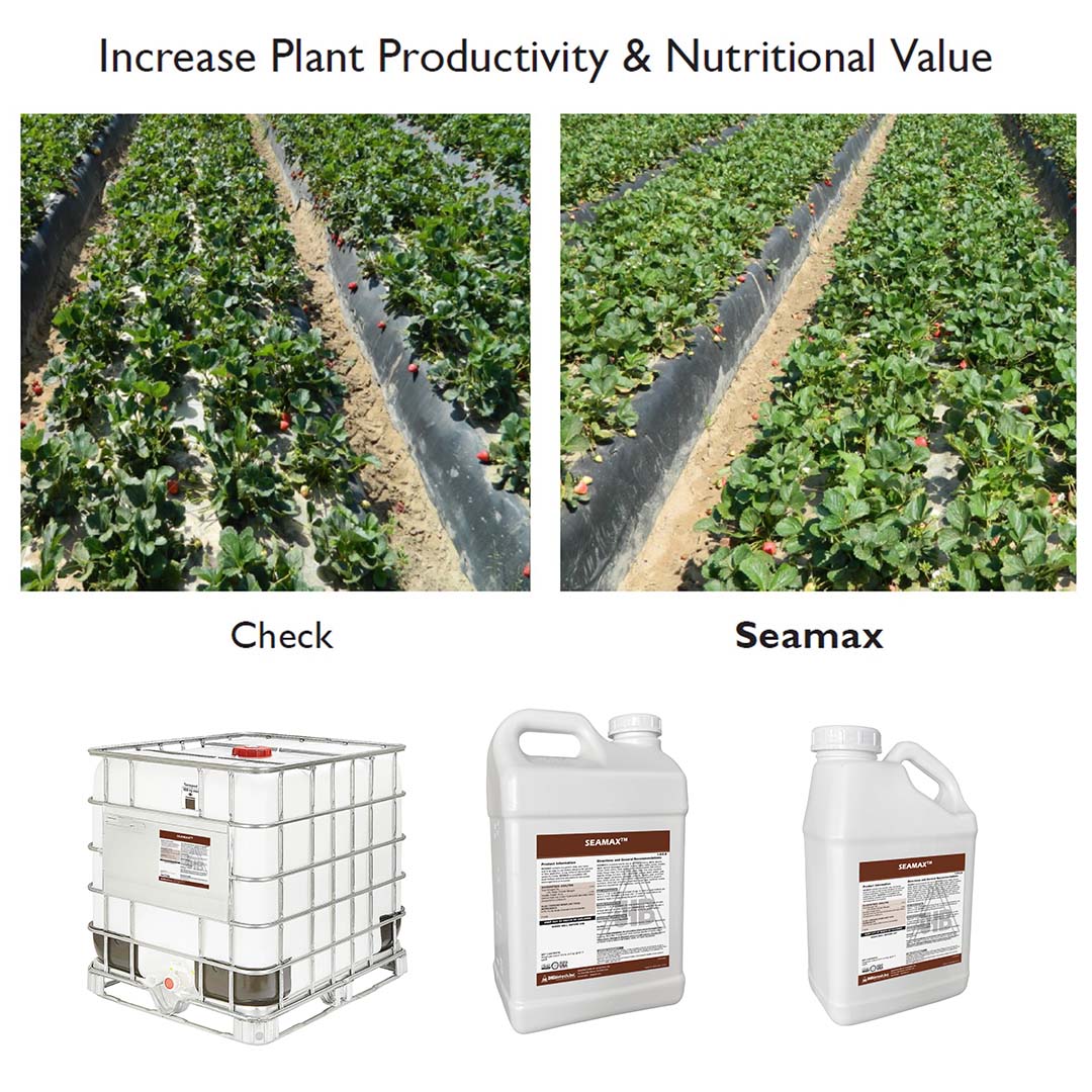 Seamax™ 1-0-0.8 | Humic acids, Plant Nutrition, Fertilizer, Plant Food ...
