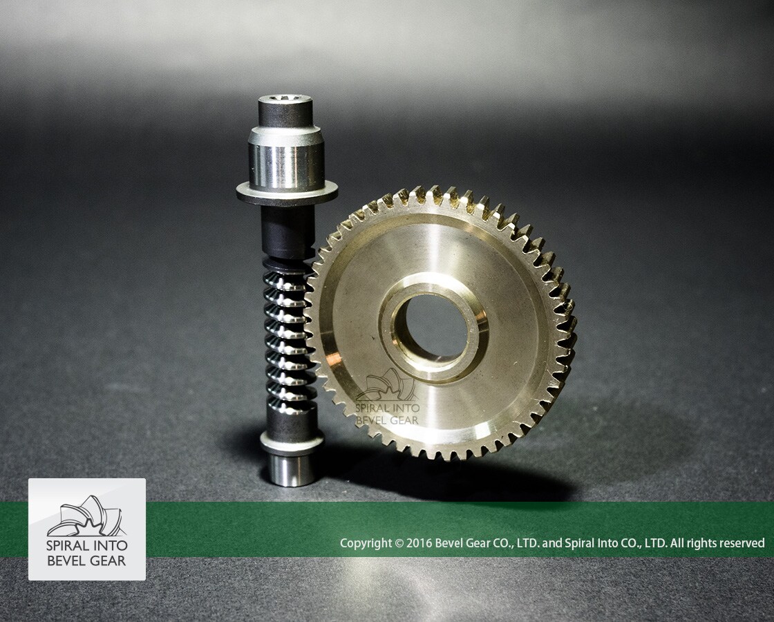 Worm Gear Set for Machinery | Taiwantrade