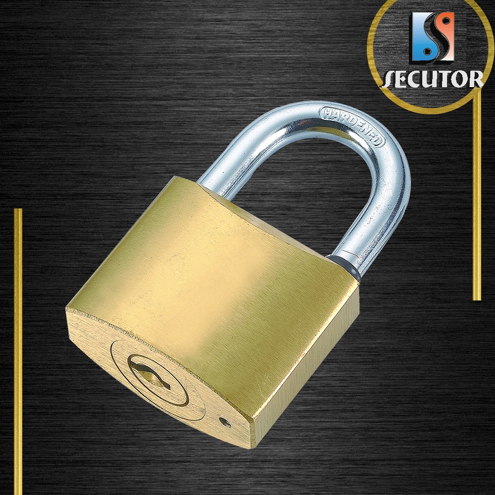 Dimple Key Brass Padlock | SECUTOR CORPORATION