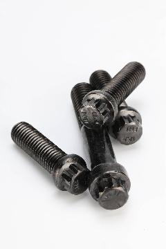 12 Point Flange Screw | Taiwantrade