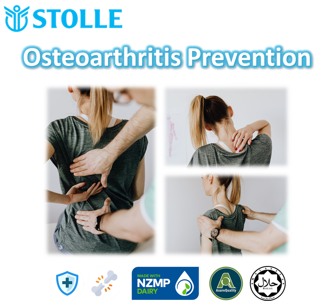 STOLLE milk protein osteoarthritis prevention material | Taiwantrade