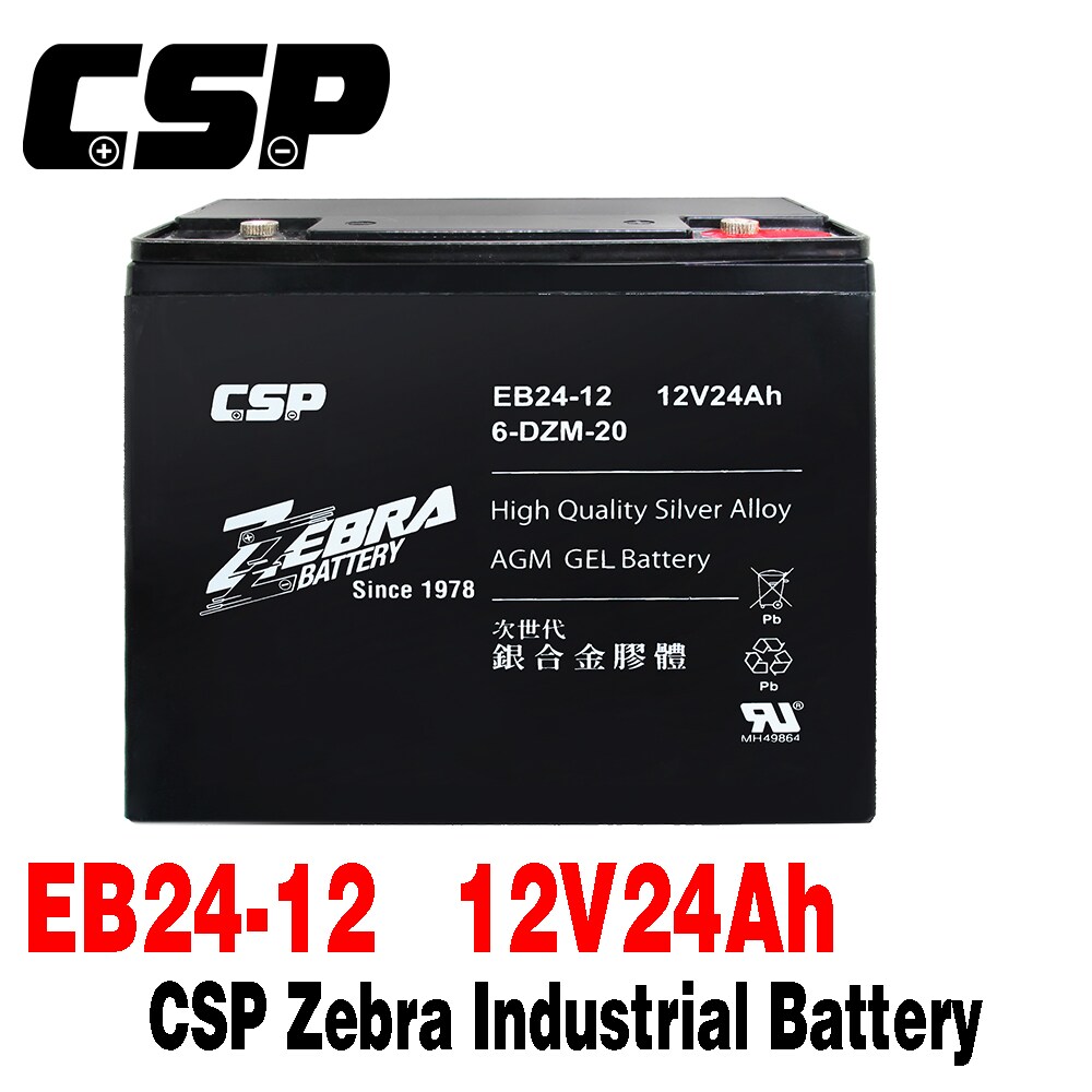 CSP Zebra EB24-12 Electric Bike Battery | Taiwantrade